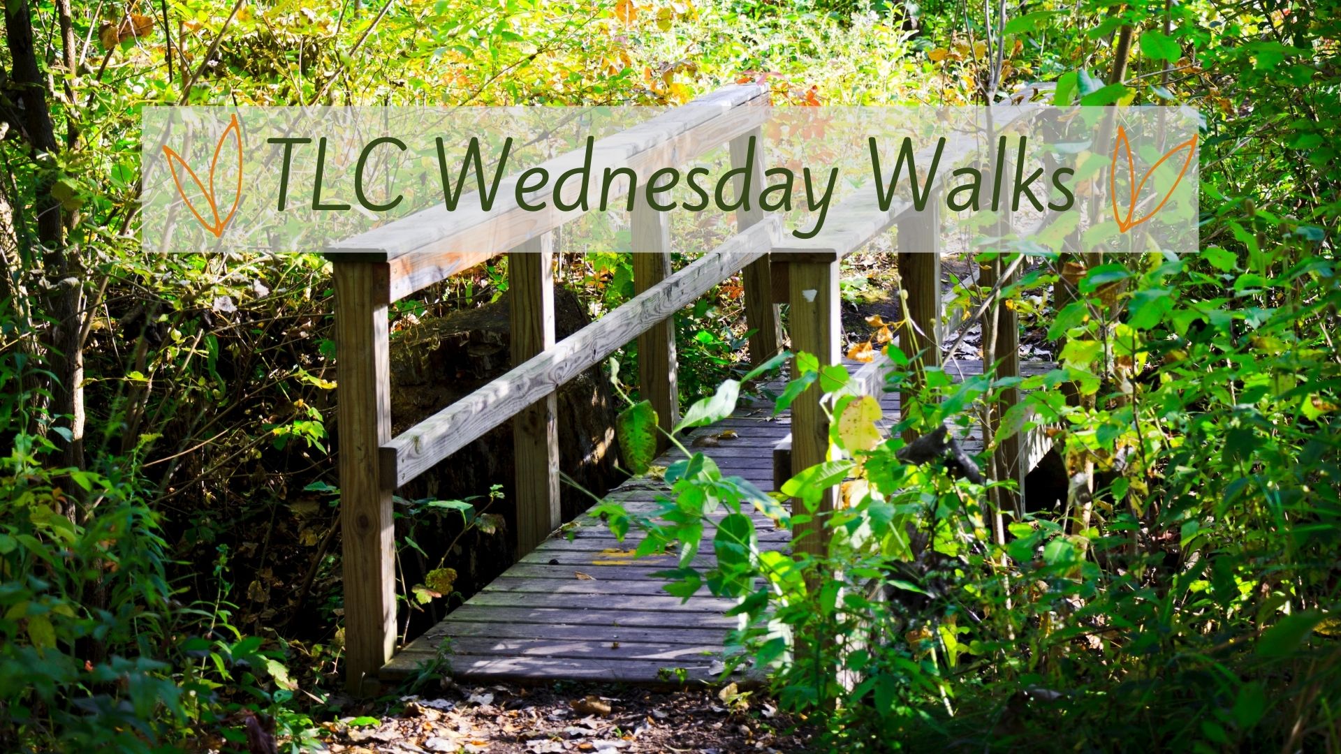 Wednesday Walks in May and June - The Land Conservancy of McHenry County