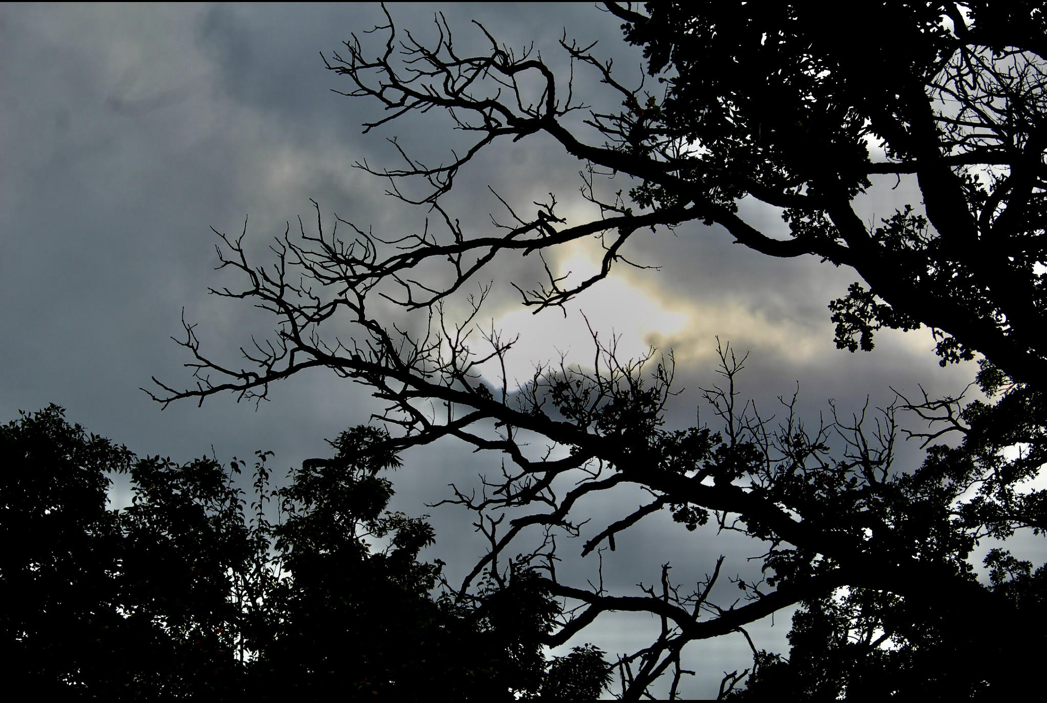 Congratulations to the 2022 Art of the Land photo contest winners ...