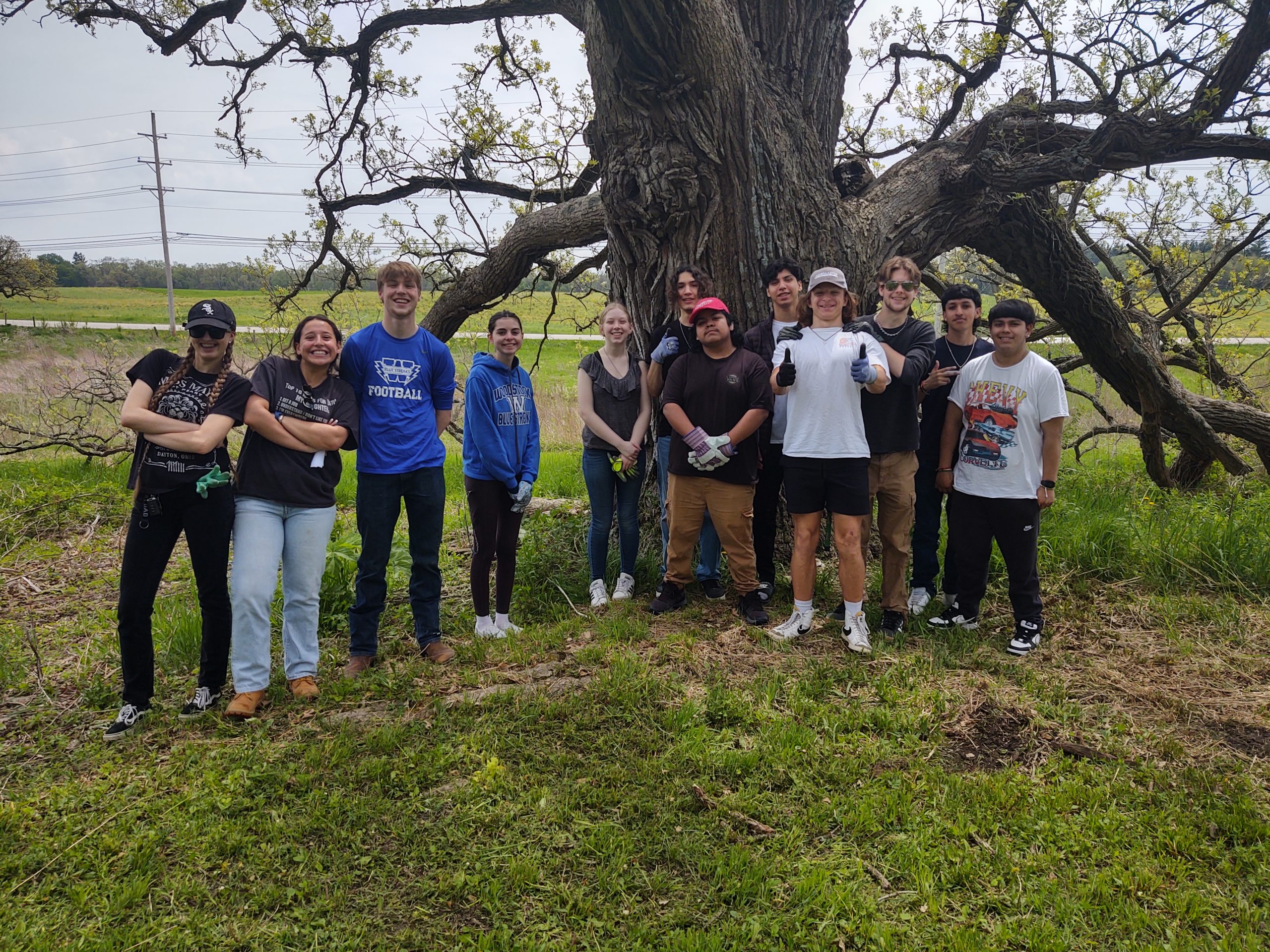 Wolf Oak Woods Flourishes after Restoration - The Land Conservancy of ...