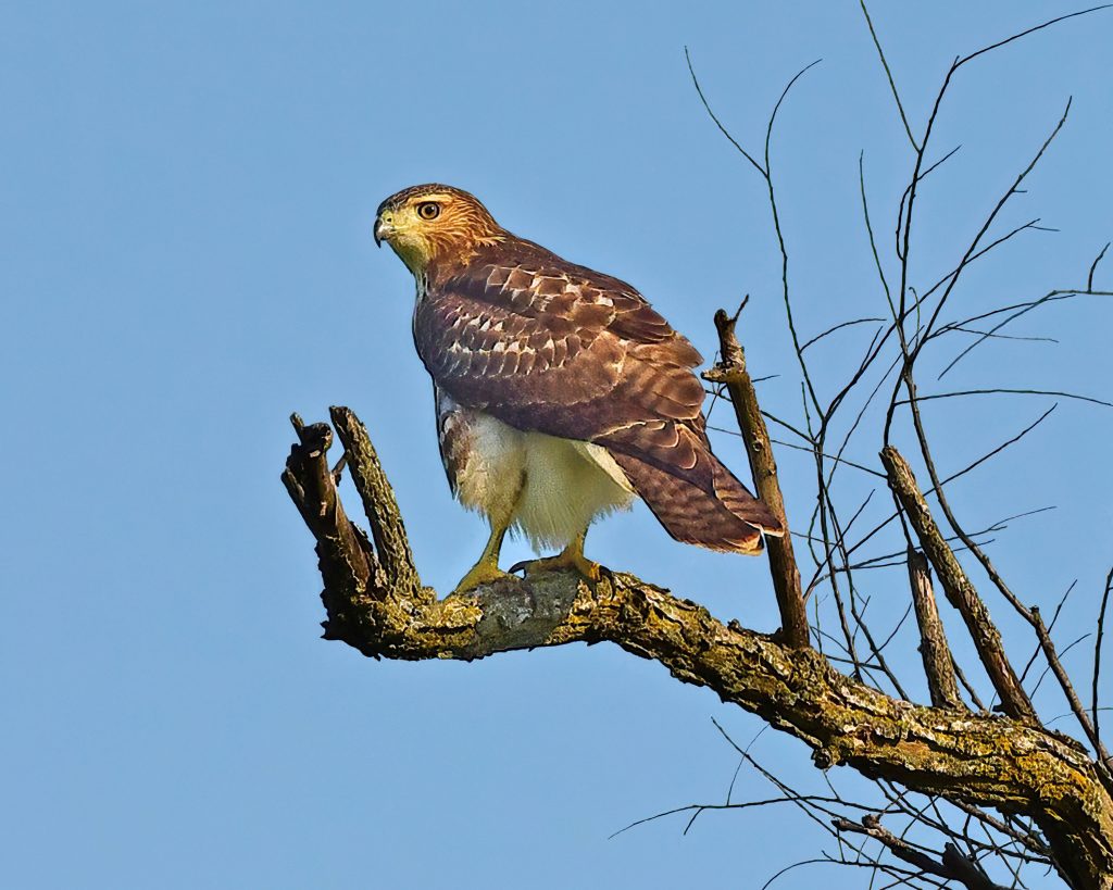 Congratulations to the 2024 Art of the Land Photo Contest Winners ...